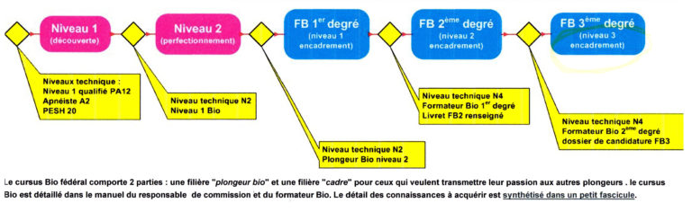 Biologie - CODEP37 FFESSM