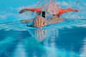 Nage avec palmes - CODEP37 FFESSM